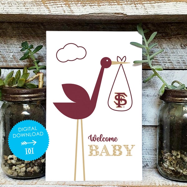 Florida State Baby - Etsy