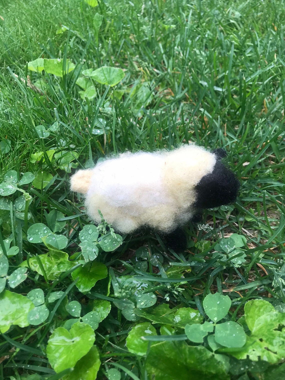 Clun Forest Felted Wool Sheep - Etsy