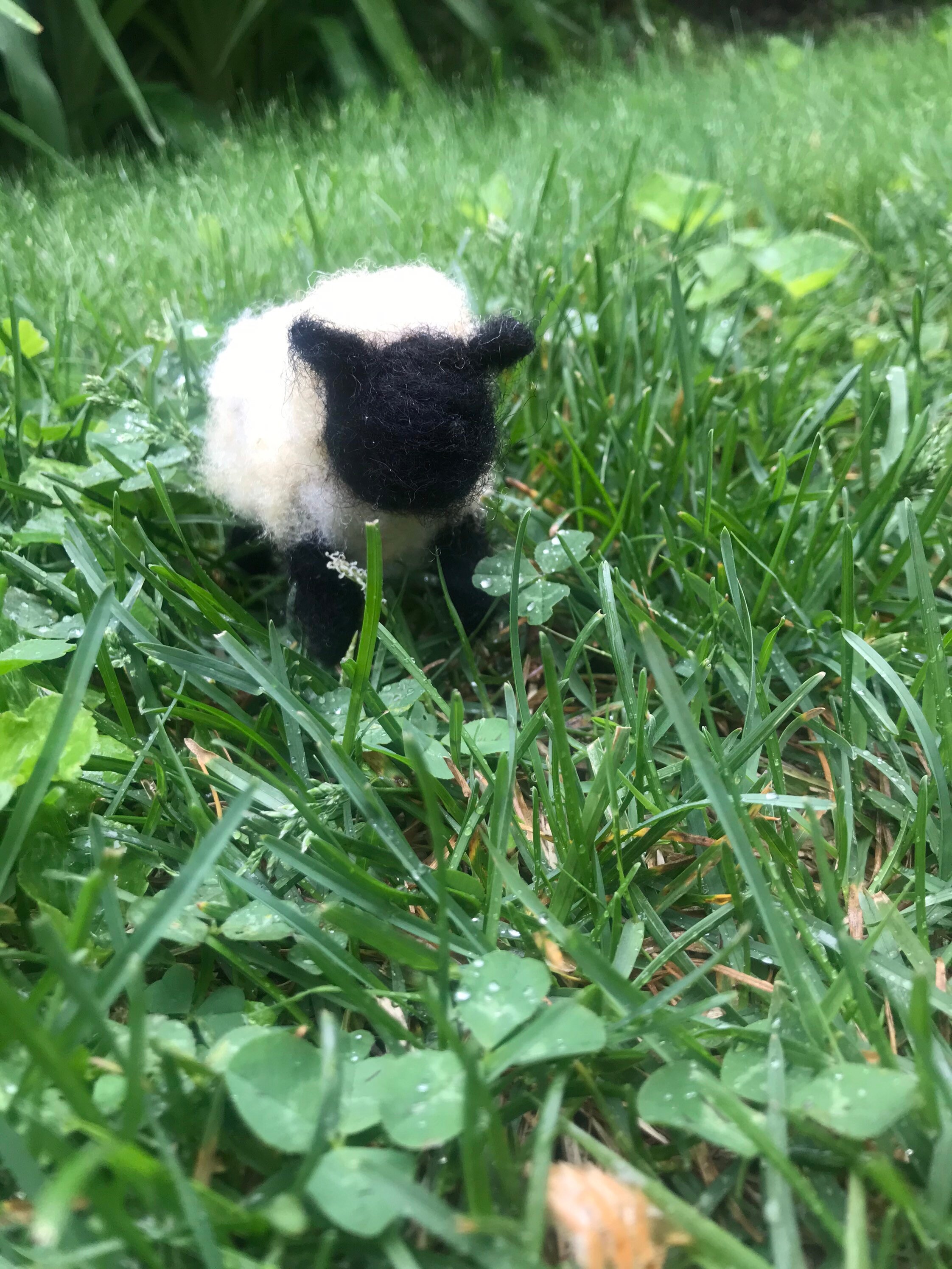 Clun Forest Felted Wool Sheep - Etsy