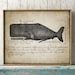 Whale Wall Art, Printable Antique Sperm Whale Art, Toothed Whale, Whale ...