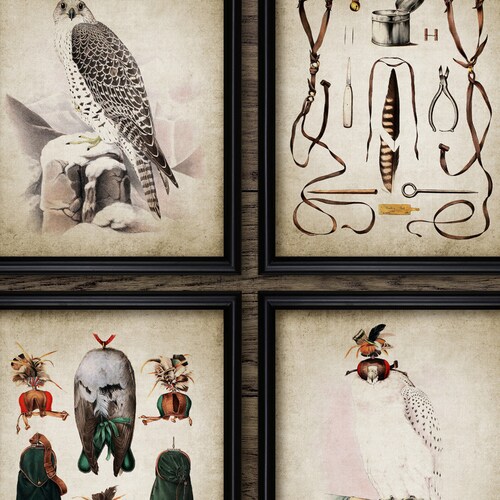 Falconry Wall Art Set of 4 Falcon Print Falconry Sport - Etsy