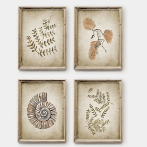 Fossil Wall Art Set of 4, Printable Fossils Art, Fossil Watercolour ...