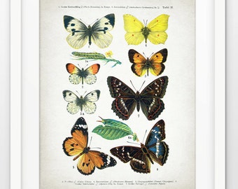 Butterfly print | Etsy