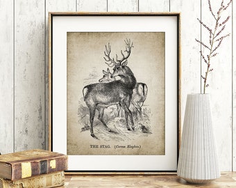 Buck print | Etsy
