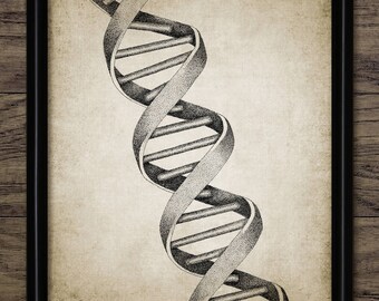 Genetic Code Art | Etsy