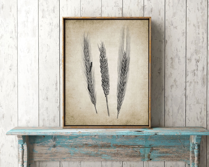 Wheat Wall Art Printable Wheat Illustration Wheat Cereal | Etsy