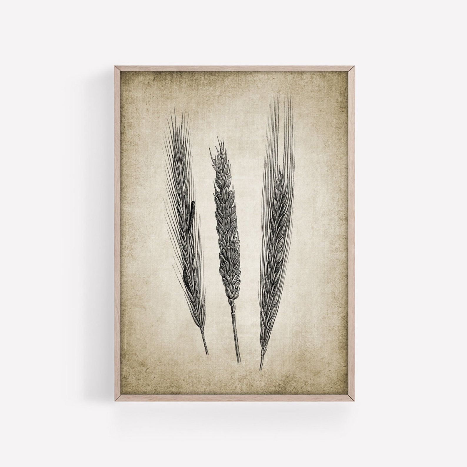 Wheat Wall Art, Printable Wheat Illustration, Wheat Cereal Art ...