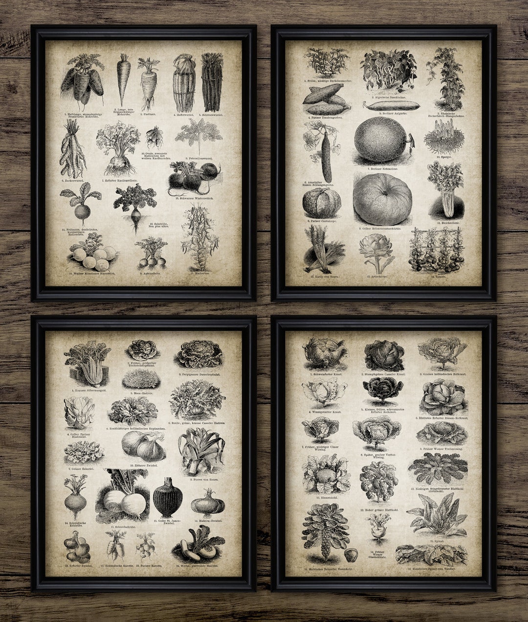 Vintage Vegetables Print Set of 4, Printable Vegetables, Vintage ...