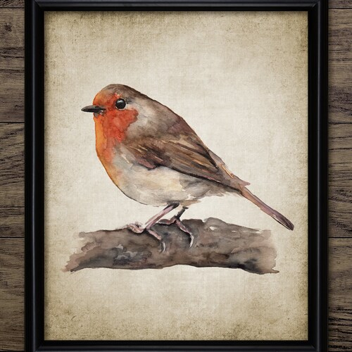 Robin Bird Art Print Instant Download Small Bird DIY Printable - Etsy