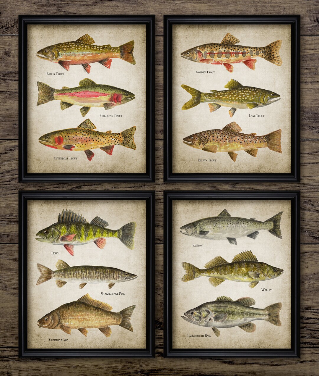 Fish Watercolour Painting Set of 4, Printable Fish Painting, Angling ...