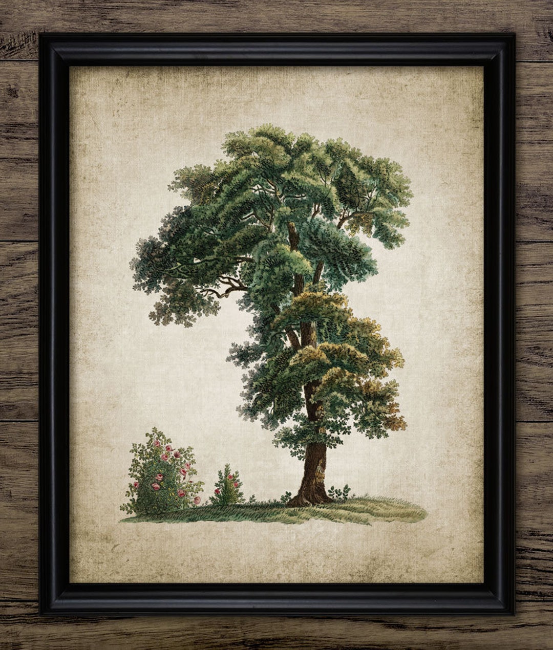 Vintage Oak Tree Wall Art, Printable Oak Tree Art, Woodland, Forest ...