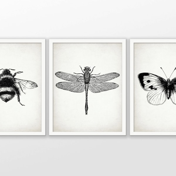 Insect Art - Etsy