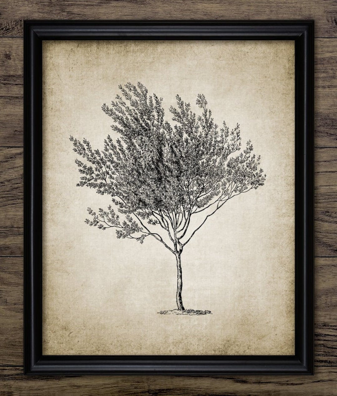 Vintage Tree Drawing, Printable Tree Art, Tree Sketch, Forest Decor ...