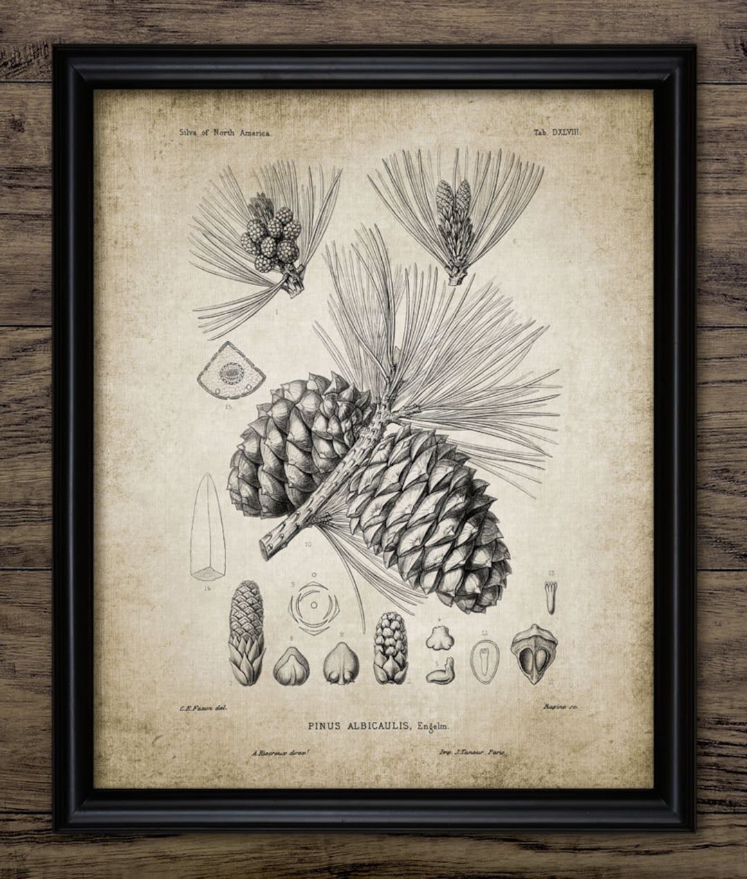 This item is unavailable - Etsy