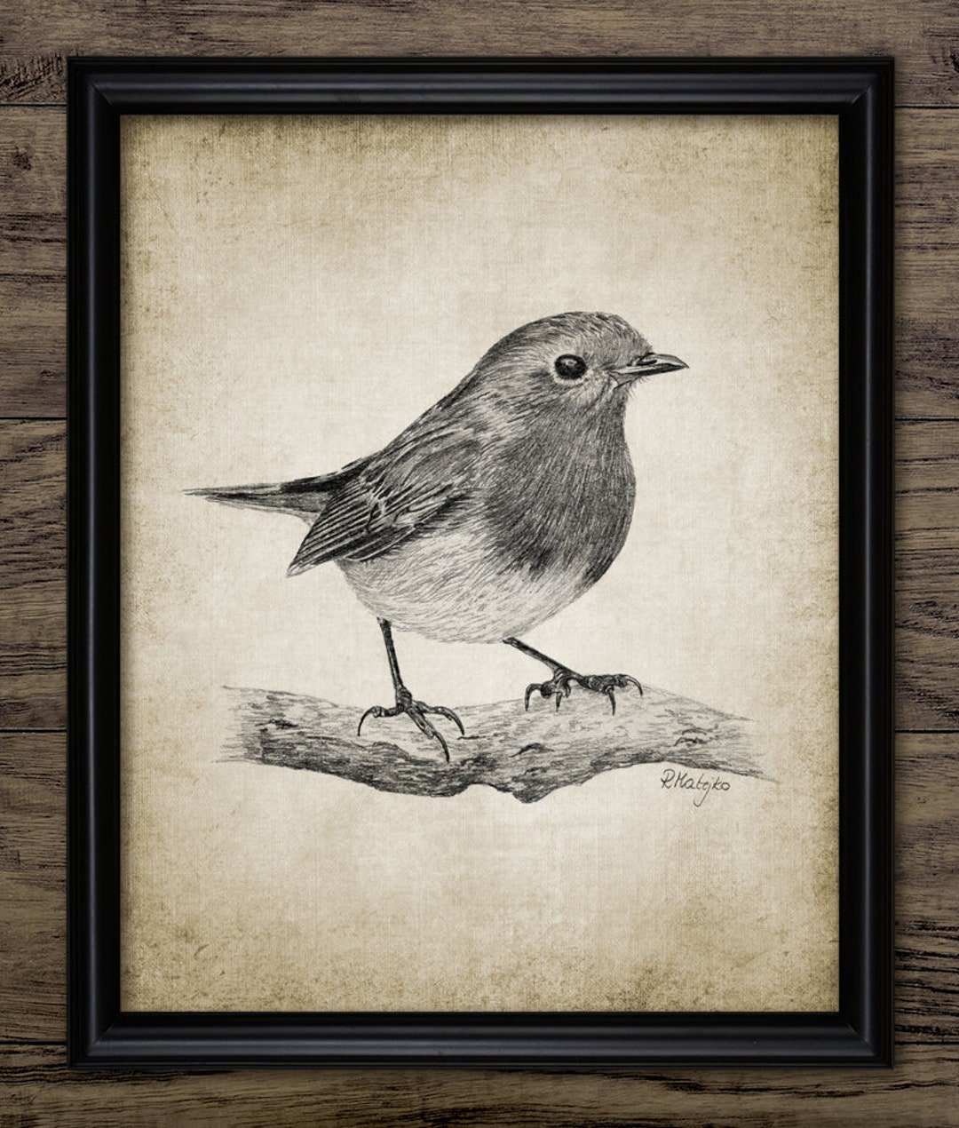 Robin Pencil Drawing, Printable Robin Drawing, Robin Bird Decor, Robin ...