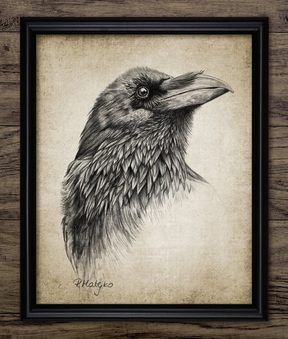 Raven Pencil Drawing Printable Raven Raven Poster Gothic - Etsy