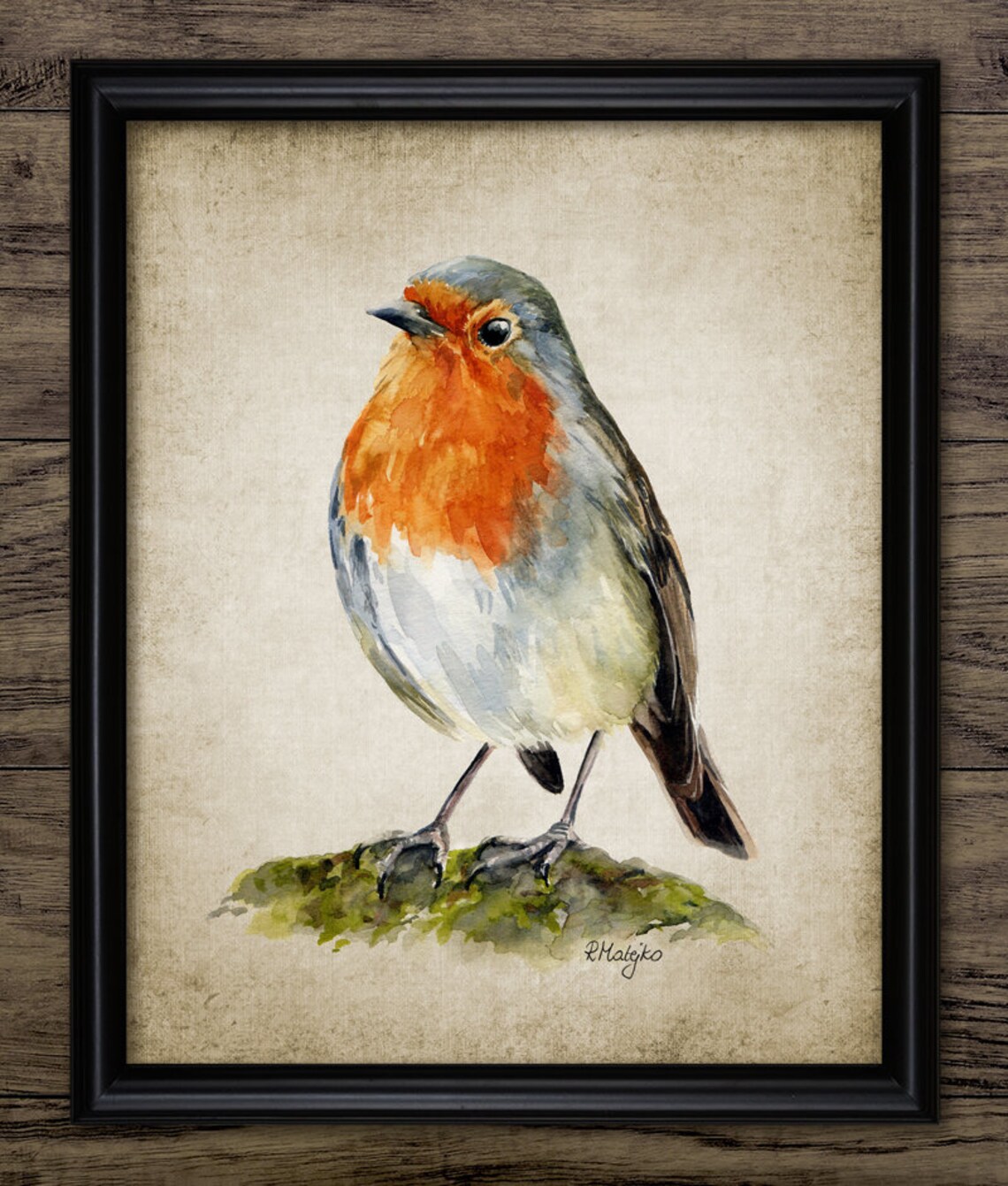 Robin Watercolor Painting Printable Robin Painting Robin - Etsy