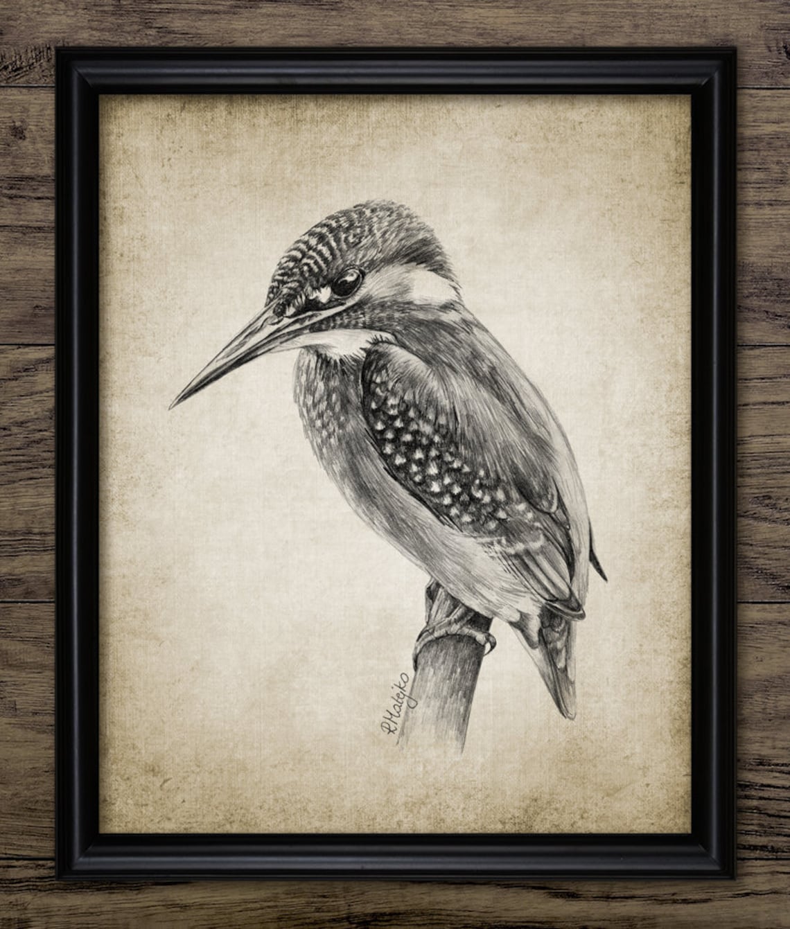 Kingfisher Pencil Drawing Printable Kingfisher Art River | Etsy