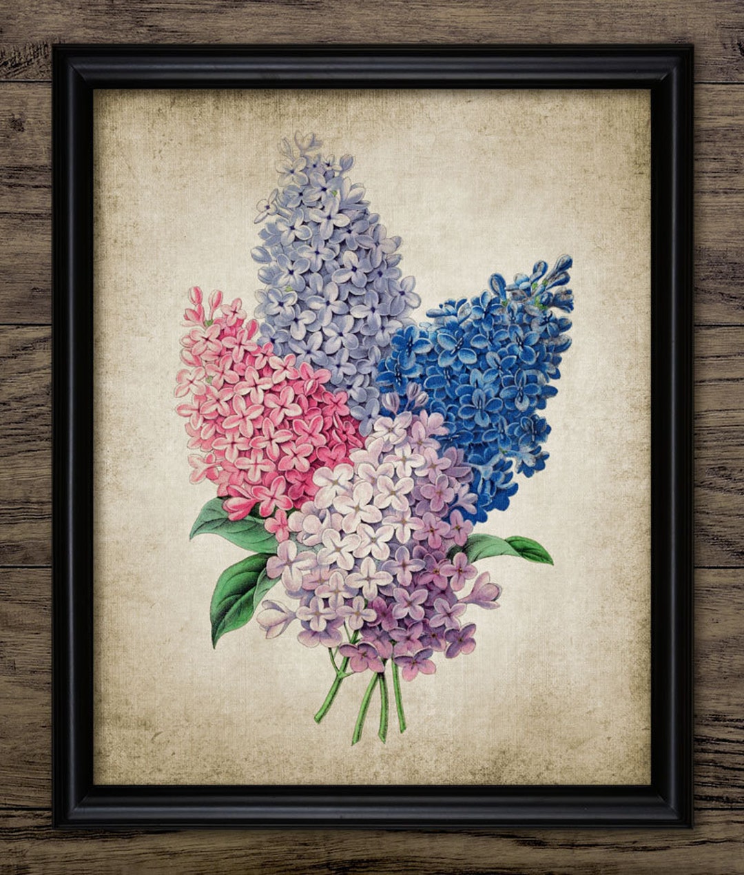 Vintage Lilac Flower Wall Art, Printable Lilac Flowers, Vintage ...