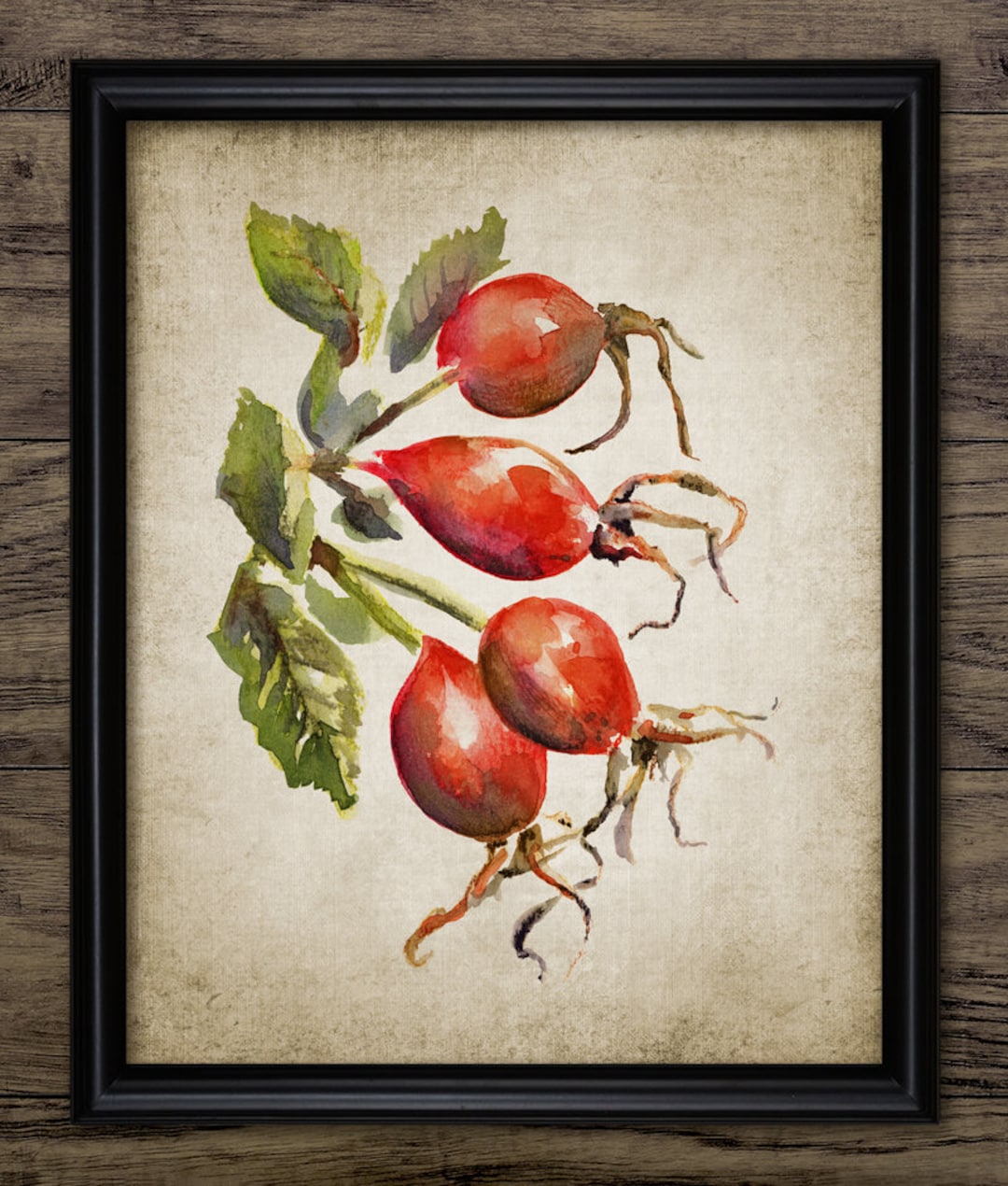 Rose Hip Wall Art, Printable Rose Hip Painting, Rose Hep, Rose Haw ...