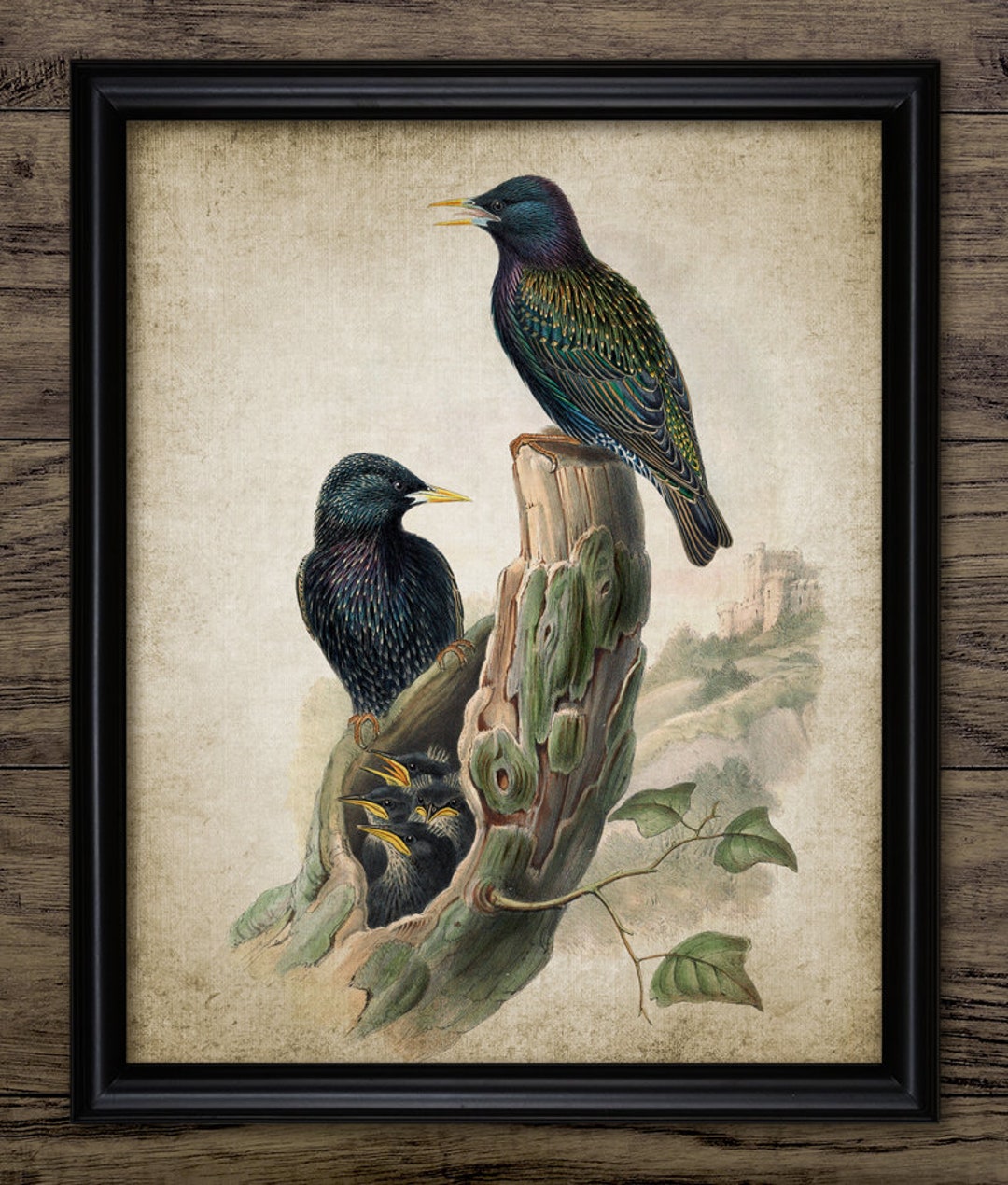 Starling Bird Wall Art, Vintage Digital Print, Printable European ...