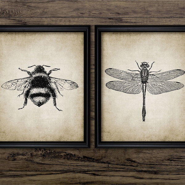 Insect Wall Art - Etsy