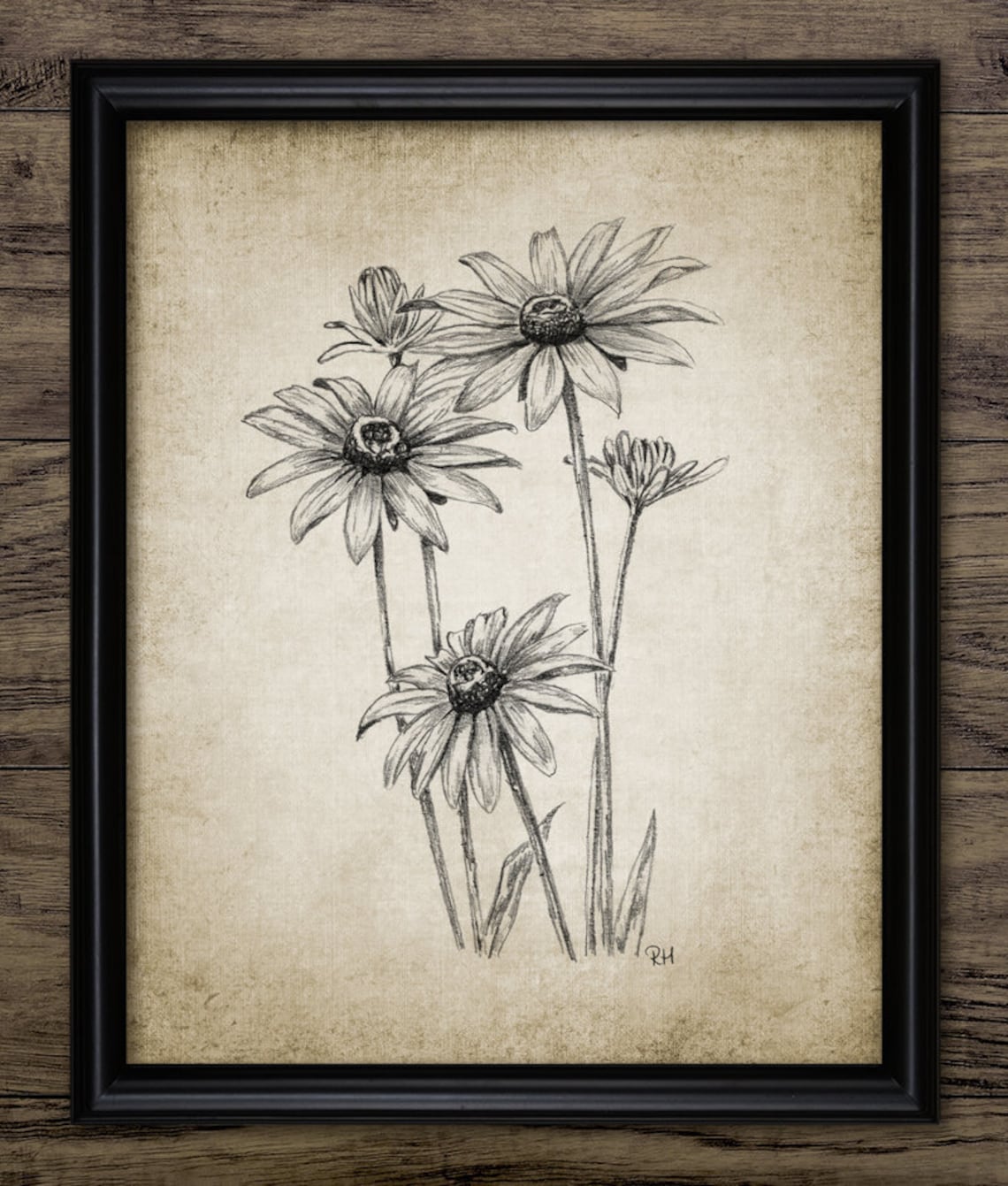 Daisy Pencil Drawing Printable Daisy Pencil Drawing Daisy - Etsy