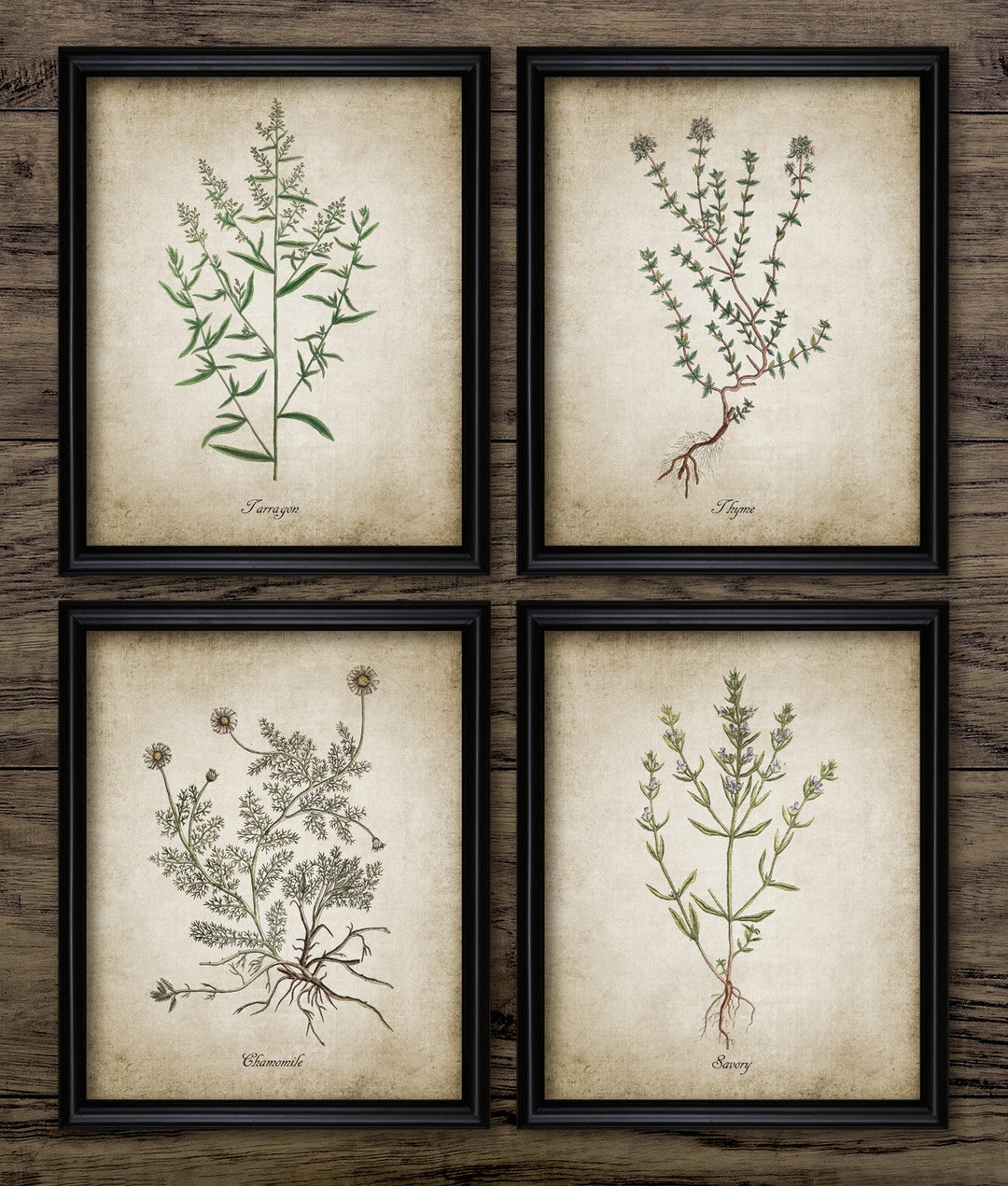 Herb Wall Art Set of 4, Printable Kitchen Herbs, Chamomile, Savory, Tarragon, Thyme, Herb Garden ...