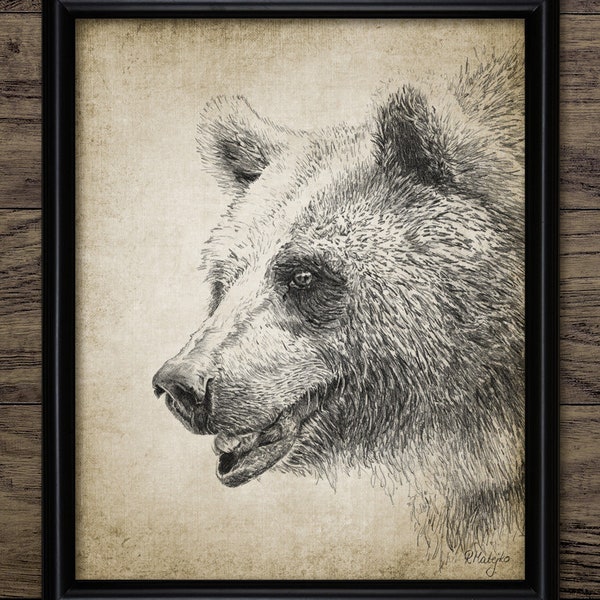 Bear Ink Drawing - Etsy UK