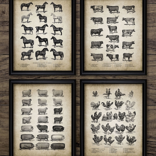 Rustic Animal Wall Art Set - Etsy
