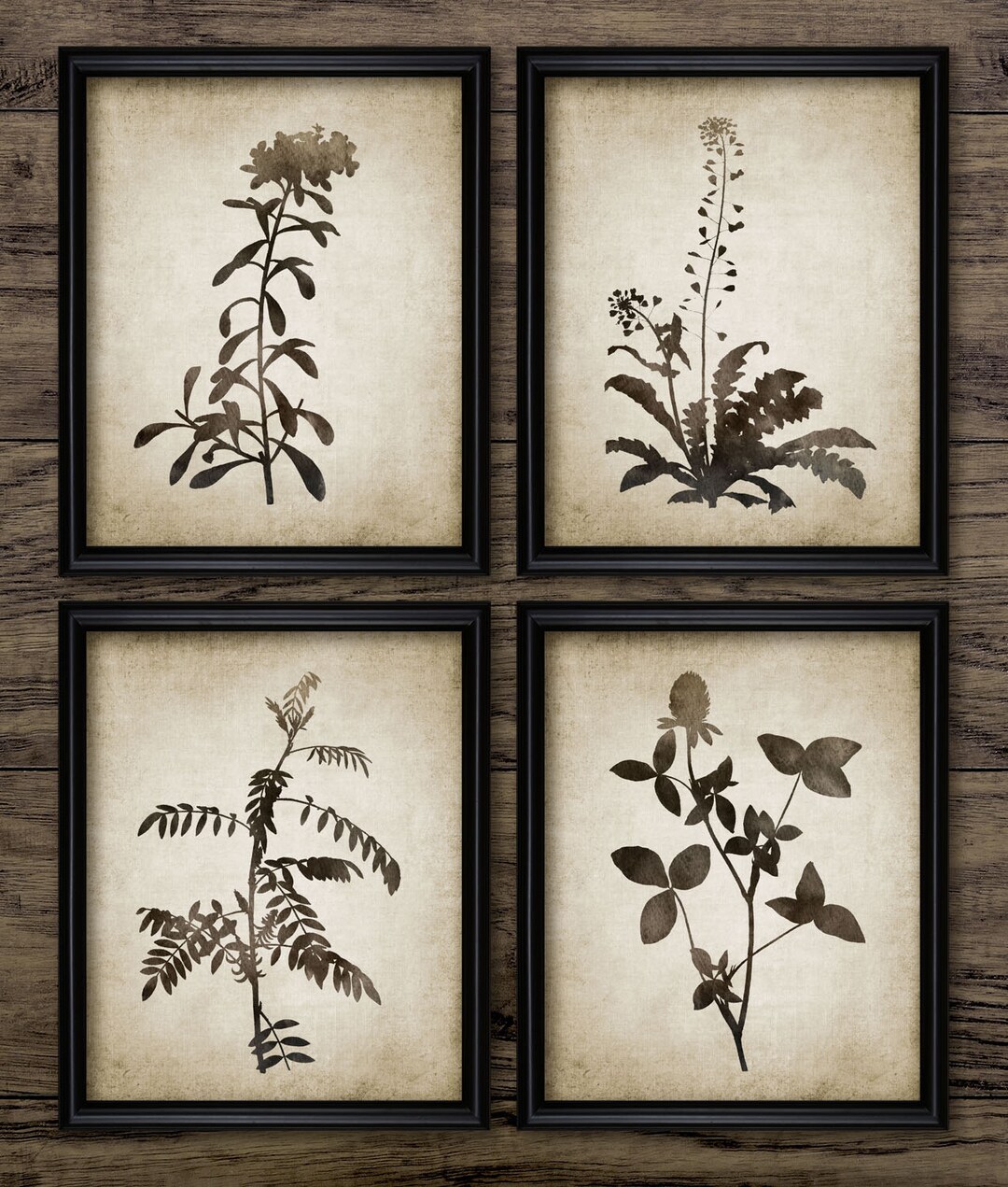 Botanical Watercolor Print Set of 4 - Plant Botanical Art - Botany Art ...