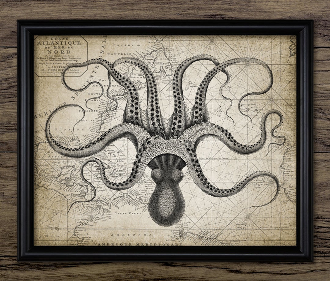 Octopus Art Print, Marine Map, Octopus Art, Vintage Marine Biology Art ...