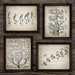 Evolution Wall Art Set of 4, Tree of Life Print, Paleontology ...