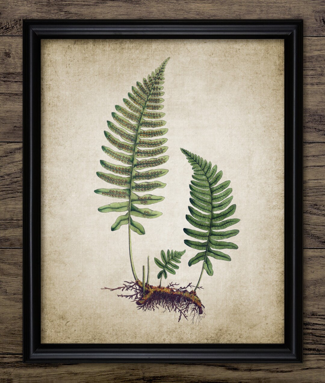 Fern Wall Art, Printable Fern, Woodland Fern, Forest Fern, Vintage ...