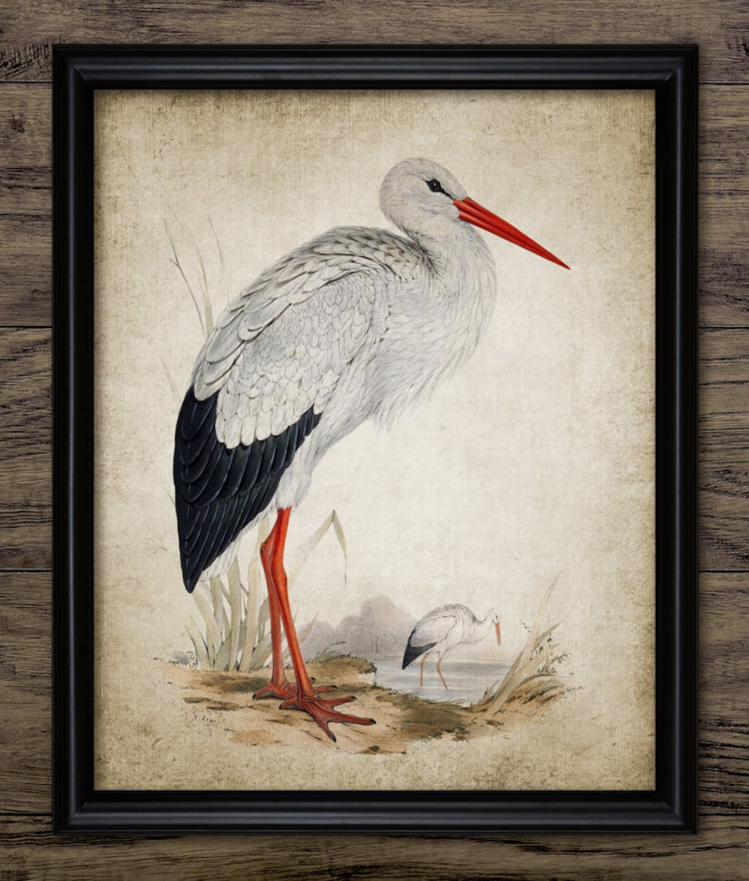 Stork Wall Art, Printable White Stork, Vintage Stork Bird Wall Art ...