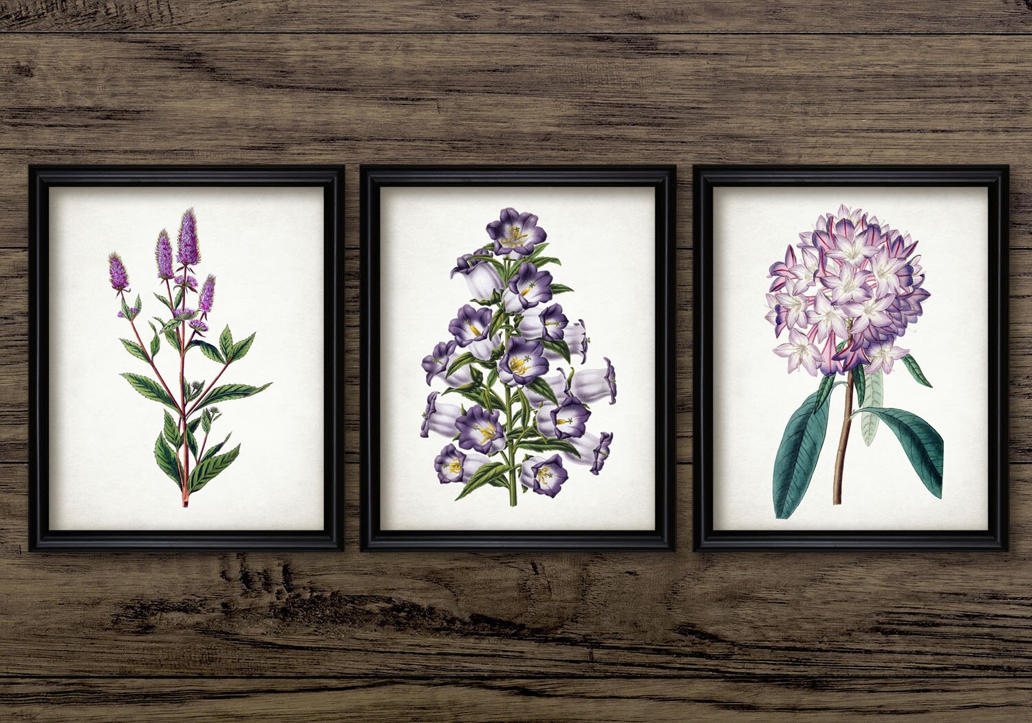 Purple Flower Print Set of 3 Botanical Print Purple Art | Etsy
