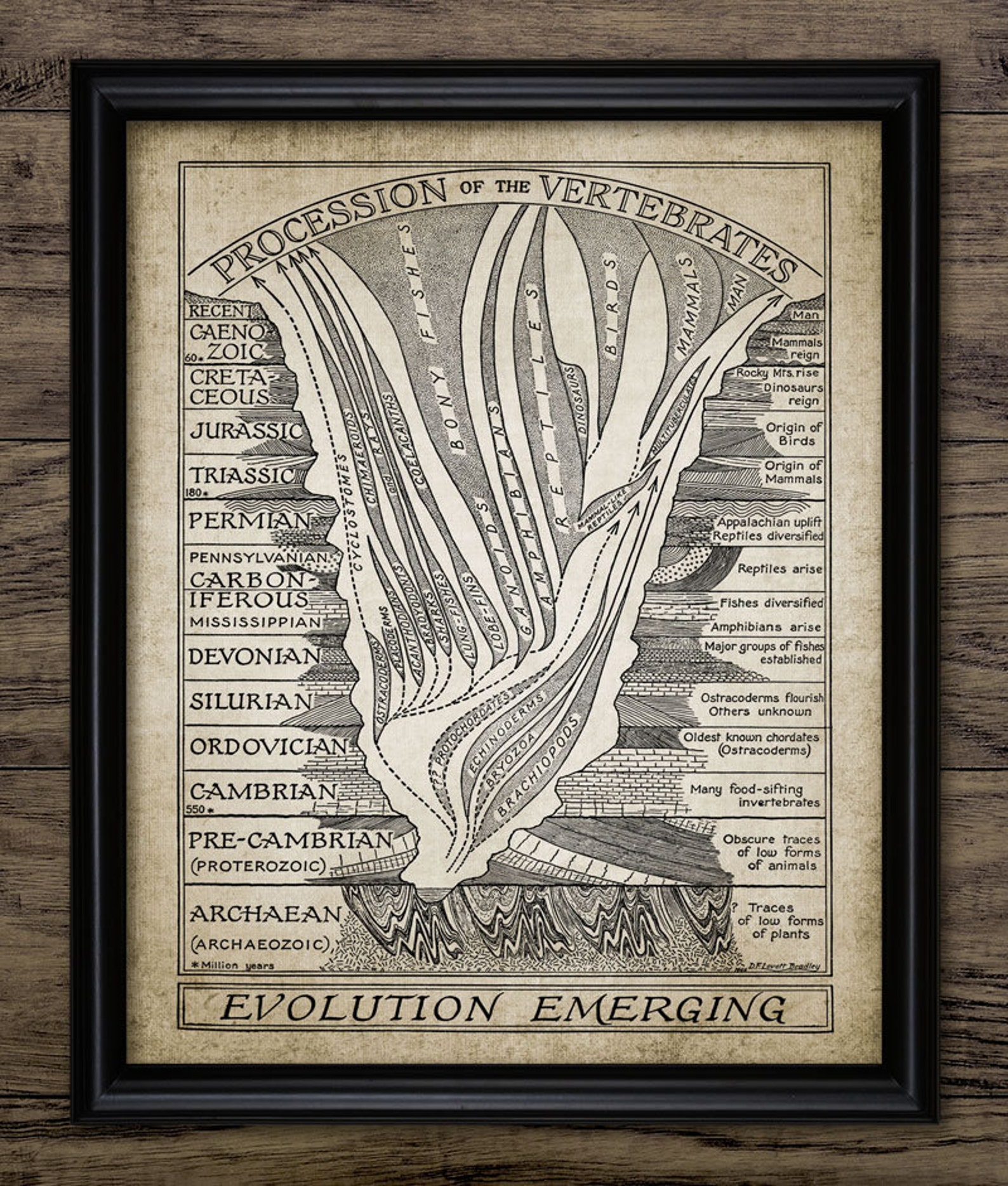 Tree of Life Wall Art Set of 4, Printable Geology, Evolution ...
