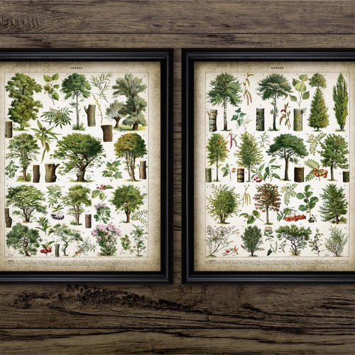 Palm Tree Botanical Art Print Set of 9 Beautiful Antique Green - Etsy