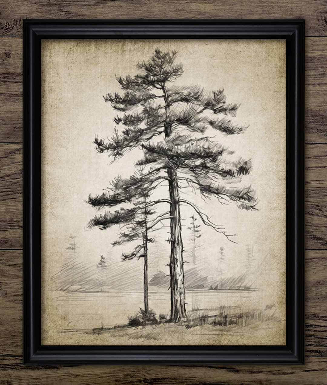Vintage Tree Drawing Wall Art, Printable Tree, Spruce Tree Sketch ...