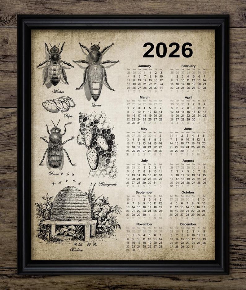 Calendario apícola 2026, Calendario de abejas melíferas, Abeja reina ...