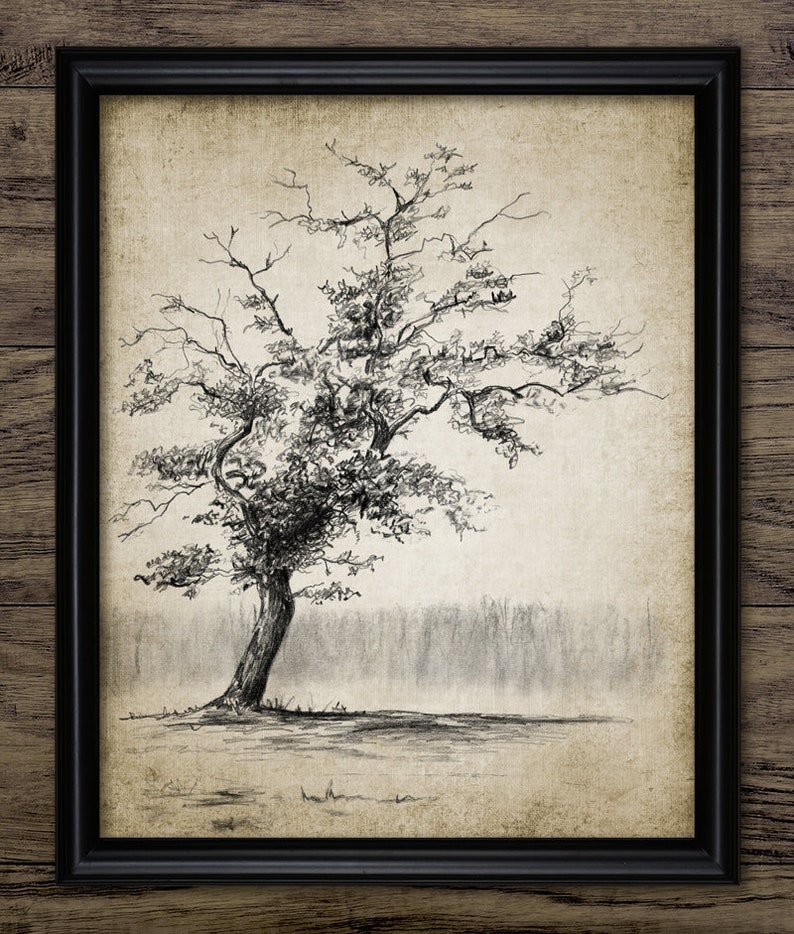 Tree Charcoal Drawing, Printable Tree, Tree Wall Art, Tree Print, Tree ...