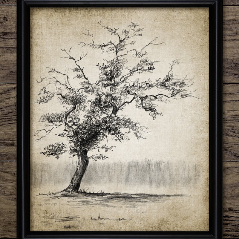 Tree Drawing Digital Art - Etsy
