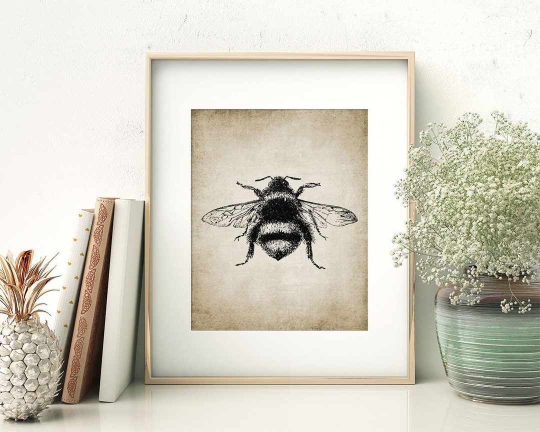 Bumble Bee Wall Art, Printable Bumble Bee, Insect Art, Vintage Bee ...