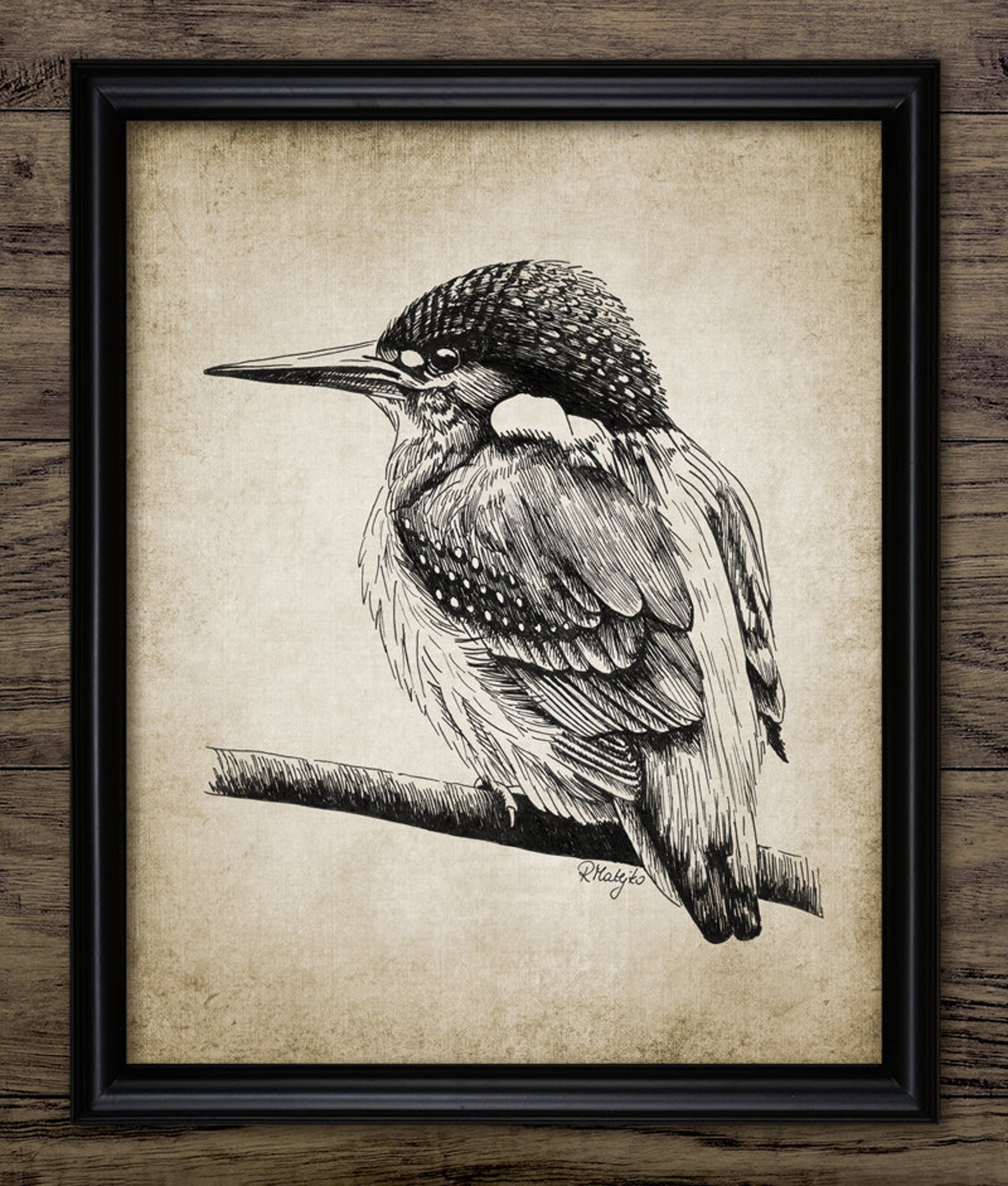 Kingfisher Ink Drawing Printable Kingfisher Drawing - Etsy