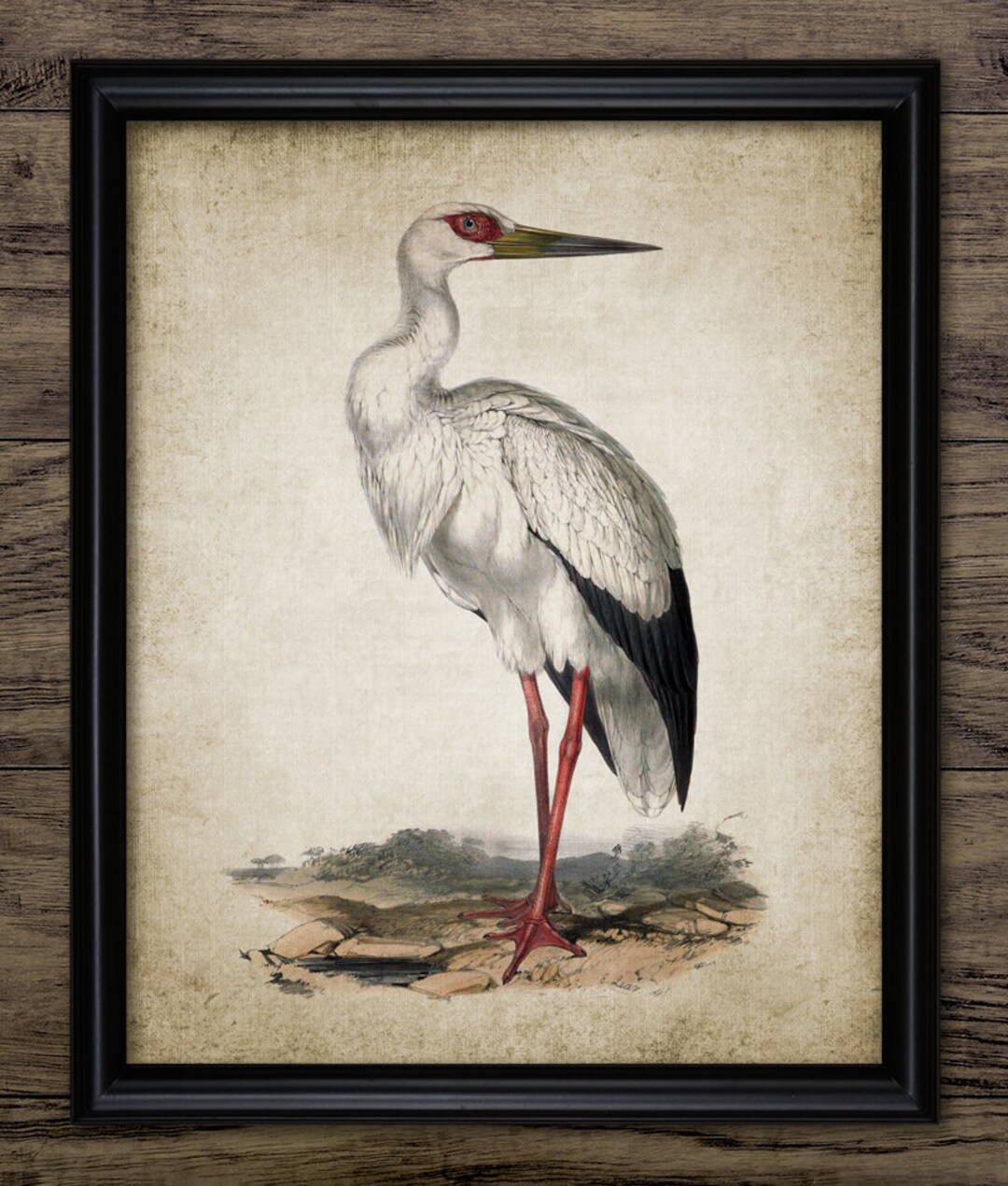 Stork Wall Art, Printable White Stork, Vintage Stork Bird Wall Art ...