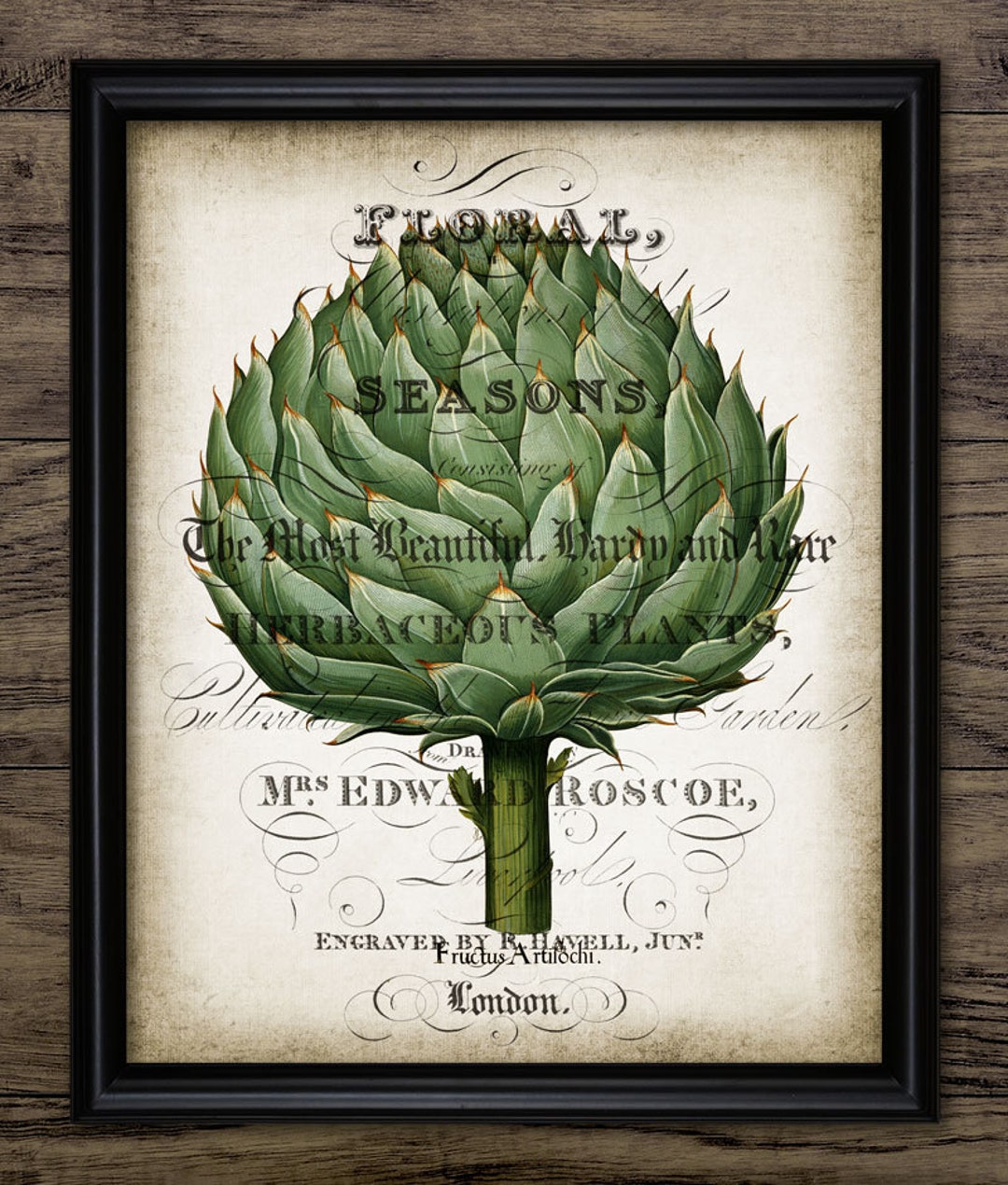Vintage Artichoke Print - Artichoke Illustration - Artichoke Decor ...
