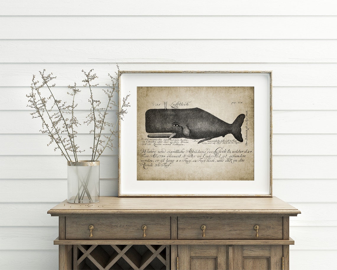 Whale Wall Art, Printable Antique Sperm Whale Art, Toothed Whale, Whale ...