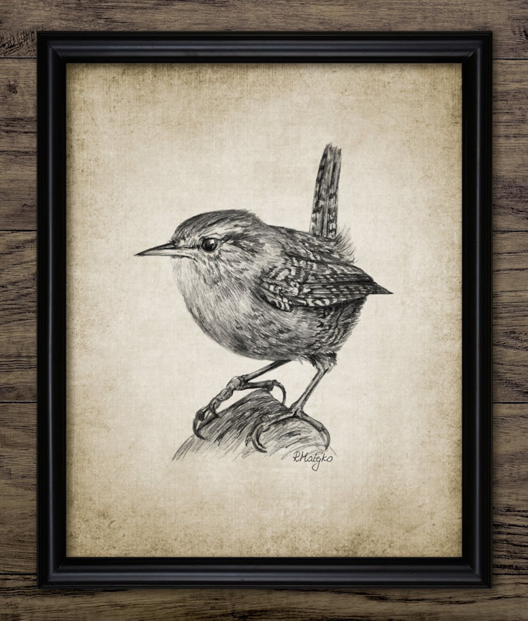 Wren Pencil Drawing, Printable Wren Drawing, Instant Bird Print, Garden ...