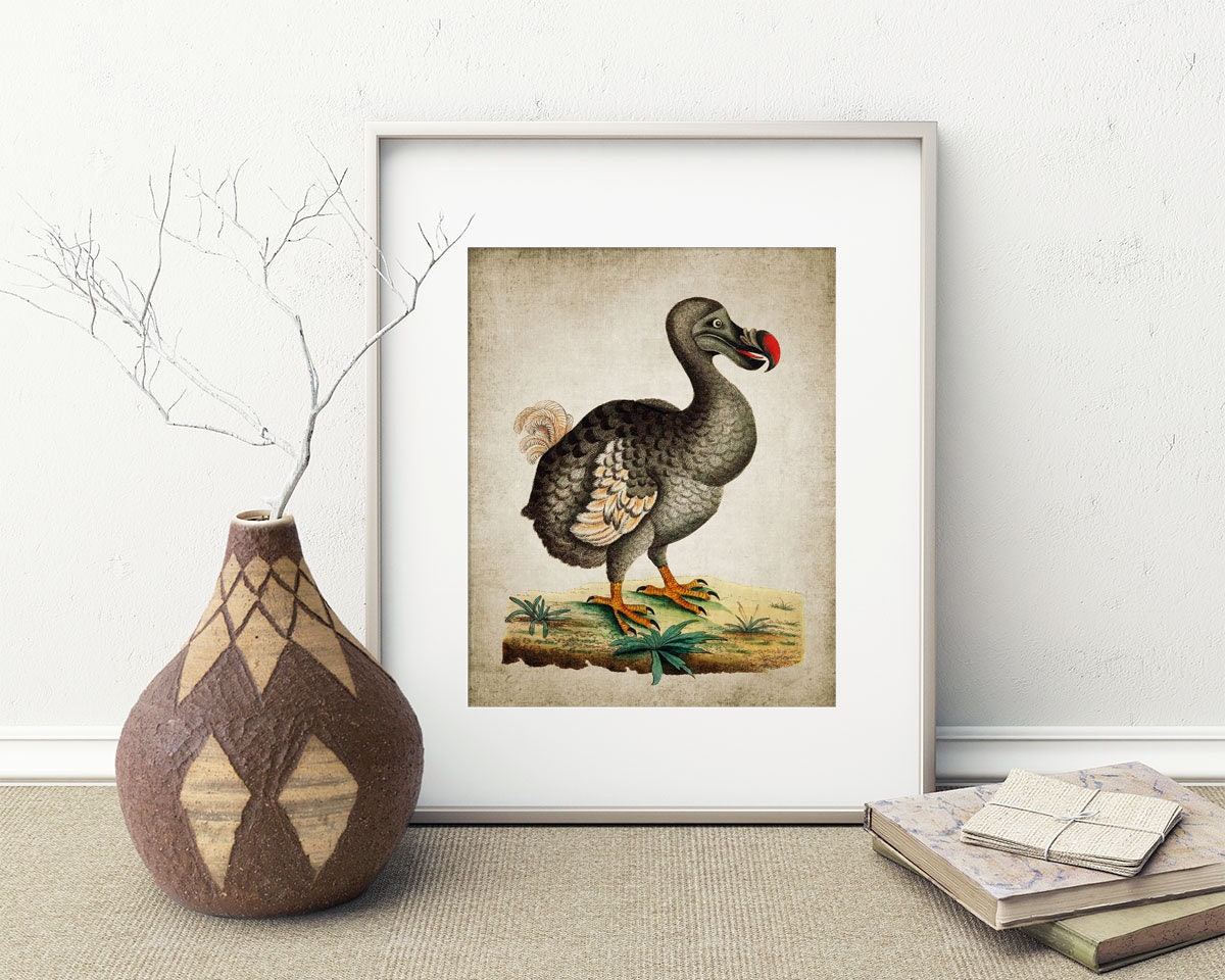 Dodo Wall Art, Printable Dodo Bird, Extinct Flightless Bird ...