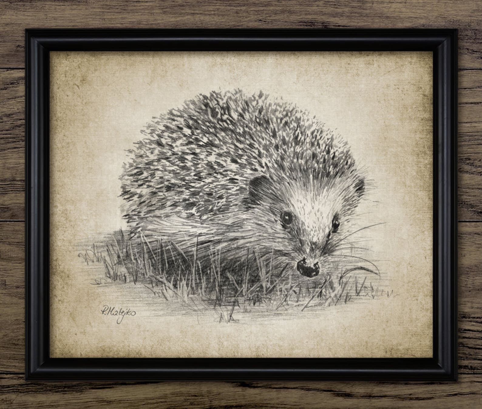 Hedgehog Pencil Drawing, Printable Hedgehog Wall Art, Hedgehog Art ...